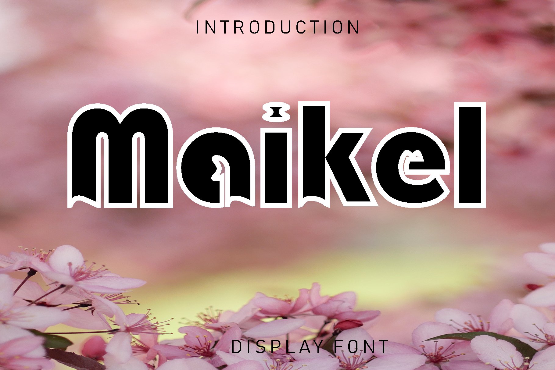 Maikel (1016796)