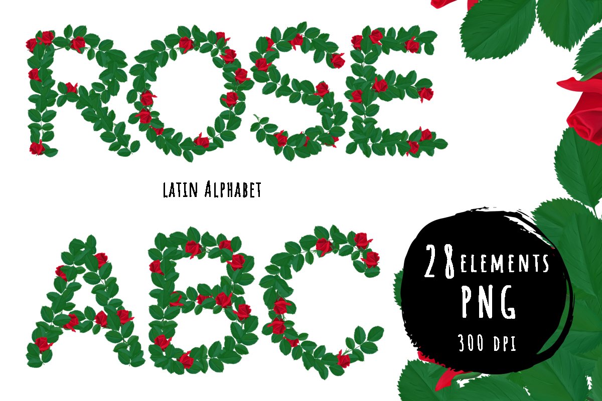 Garden rose Latin alphabet bundle