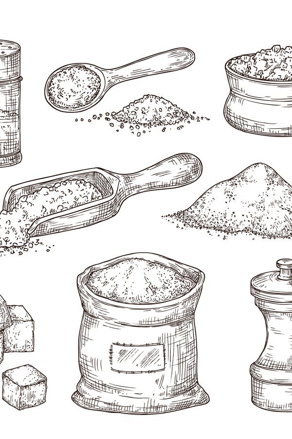 Salt sketch. Hand draw spice, vintage bowl spoon with sea sa
