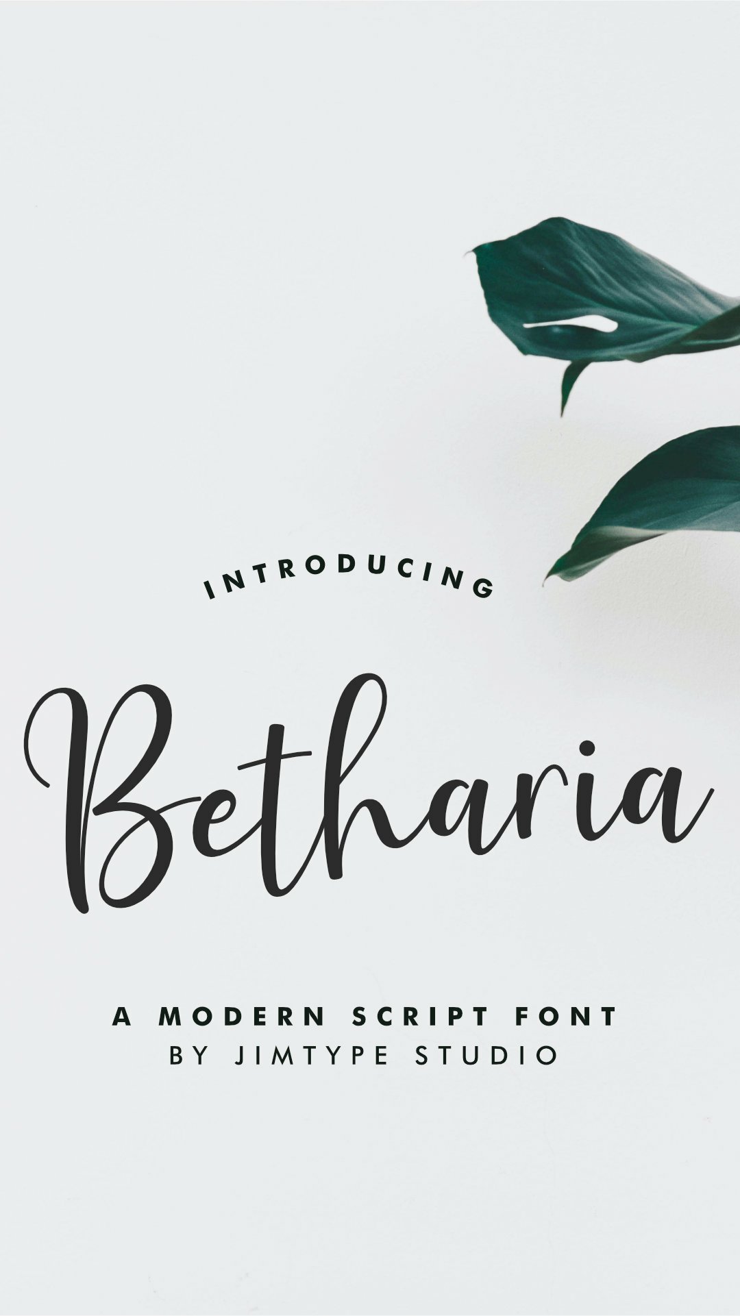 Betharia Script - Branding Business Font