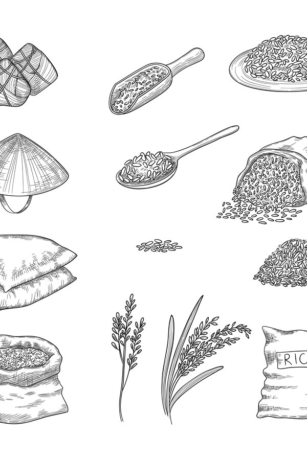 Doodle rice. Agricultural nature collection of rice sacks gr