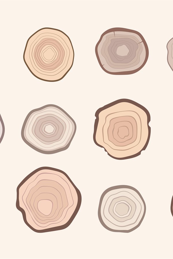 Wooden rings collection. Tree stylized rings natural textura