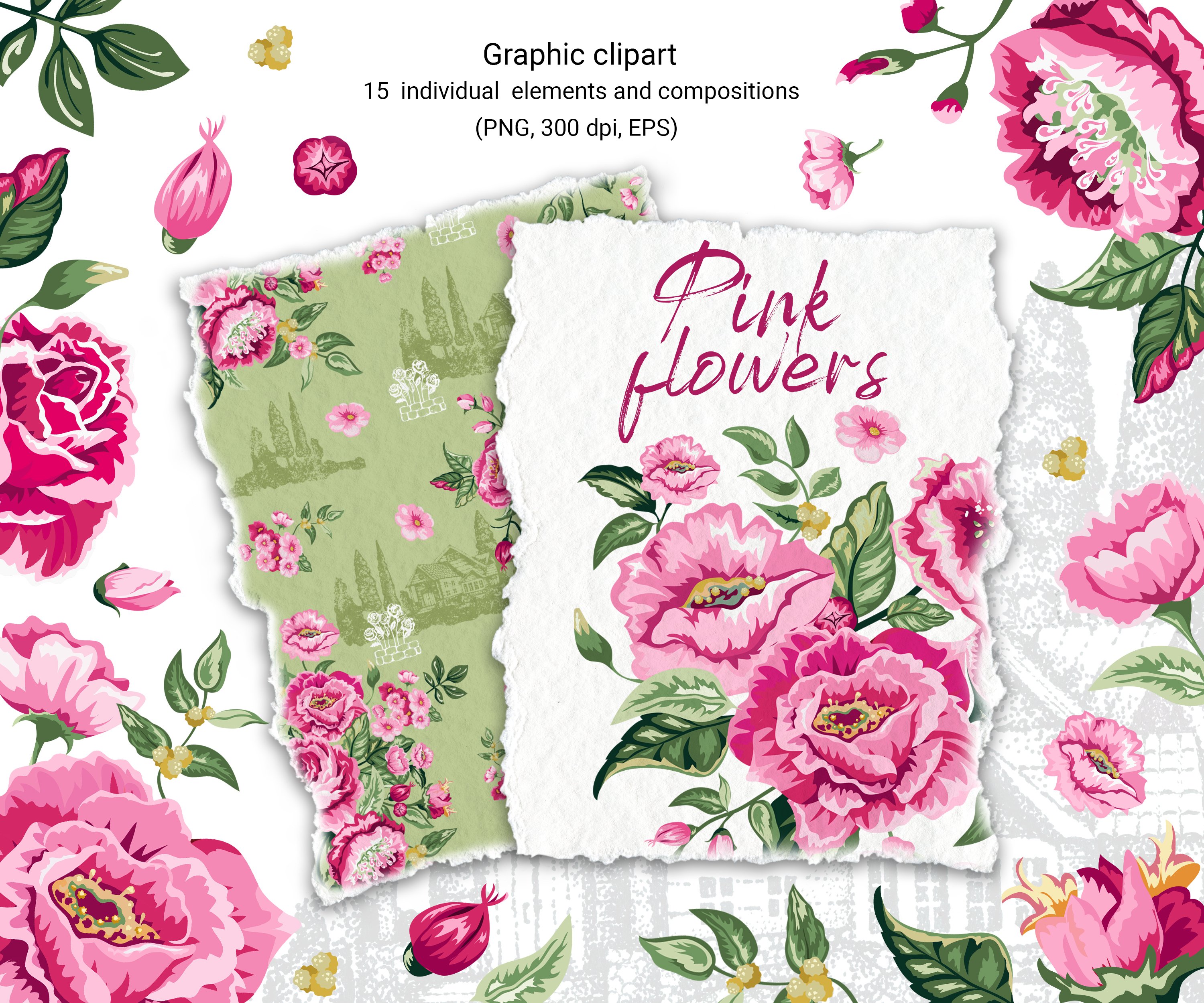 Pink flowers, peonies, roses, bouquets. Vector graphics