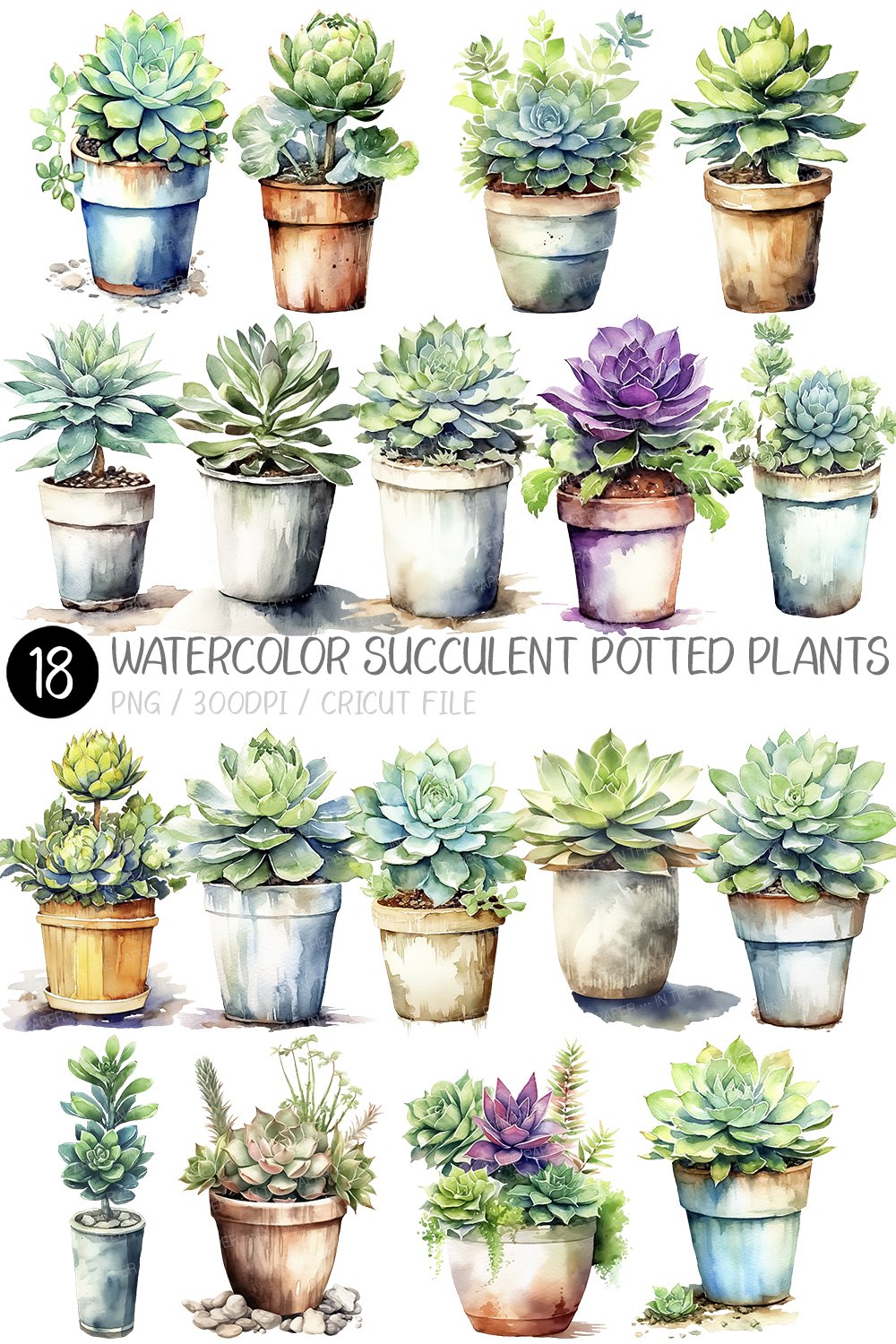 Watercolor Succulent Potted Plants PNG