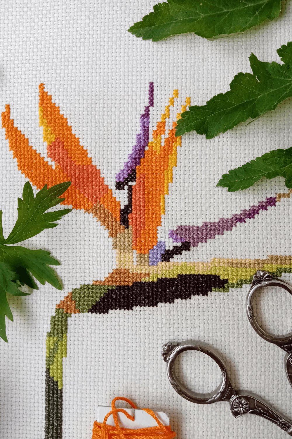 Botanical cross stitch pattern PDF Strelitzia flower exotic
