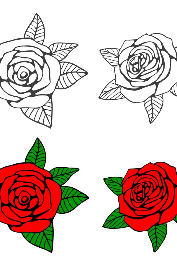 Hand drawn roses coloring page