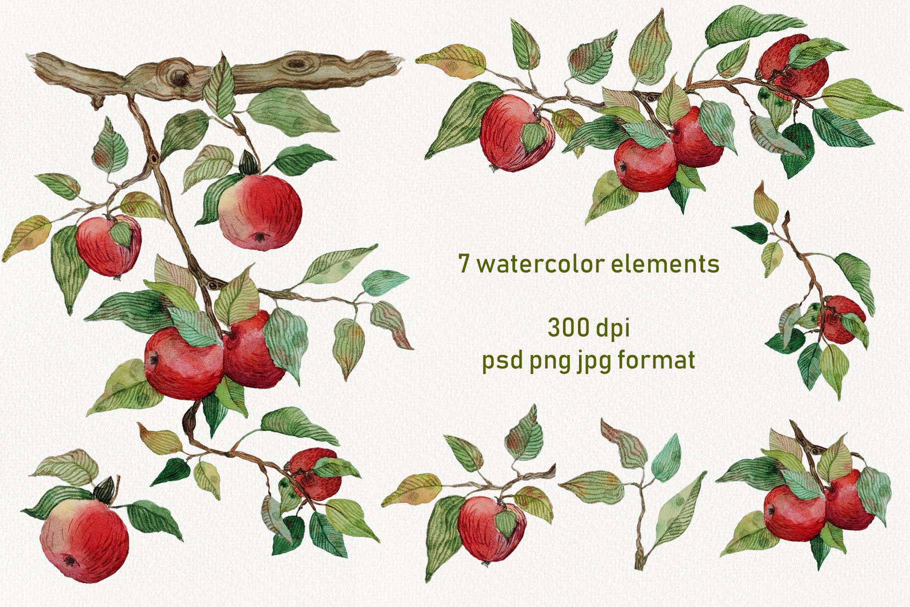 Watercolor red apples fruit clipart. Apple tree (882550)
