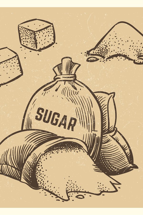 Vector sugar doodles collection. Sketch sugar illustration
