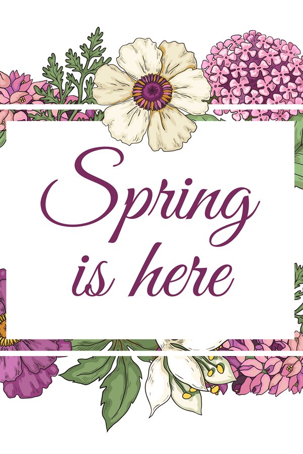 Spring flower background. Spring is here logo in frame. Holi