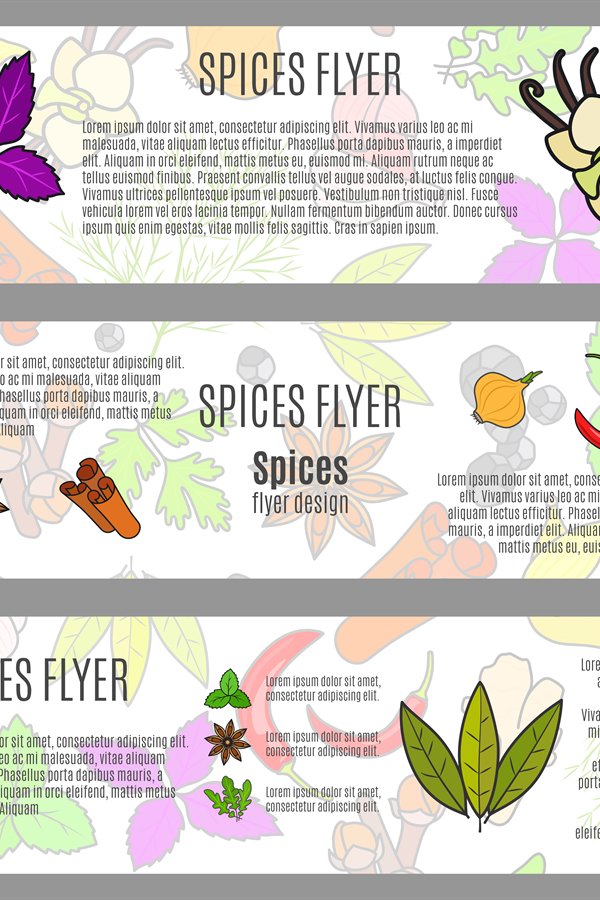 Spices horizontal flyer design