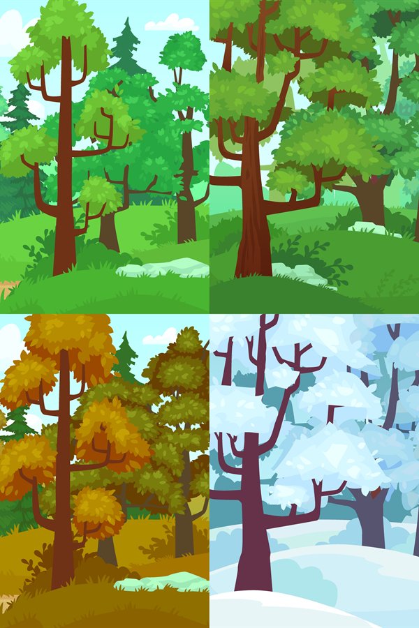 Forest path. Spring and summer trees, autumn leaves and wint