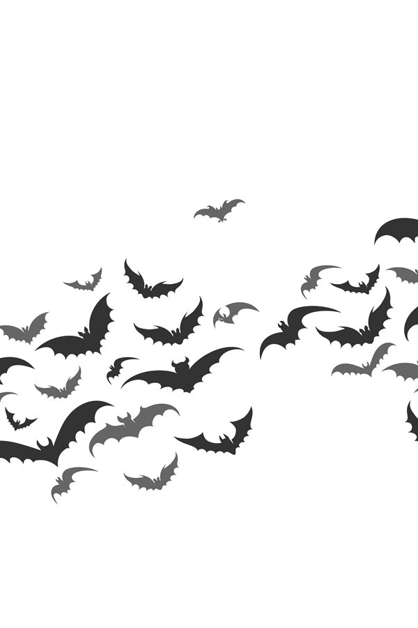 Bats flying set isolated on white