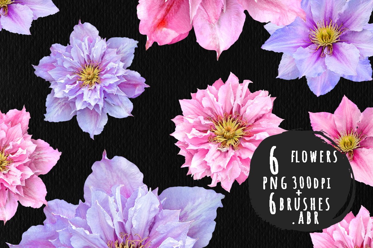 Spring- summer flowers bundle