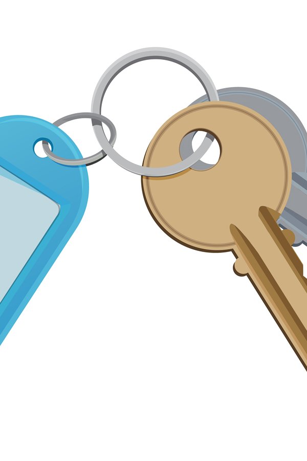 Key and keychain. Vector illustration isolate on white