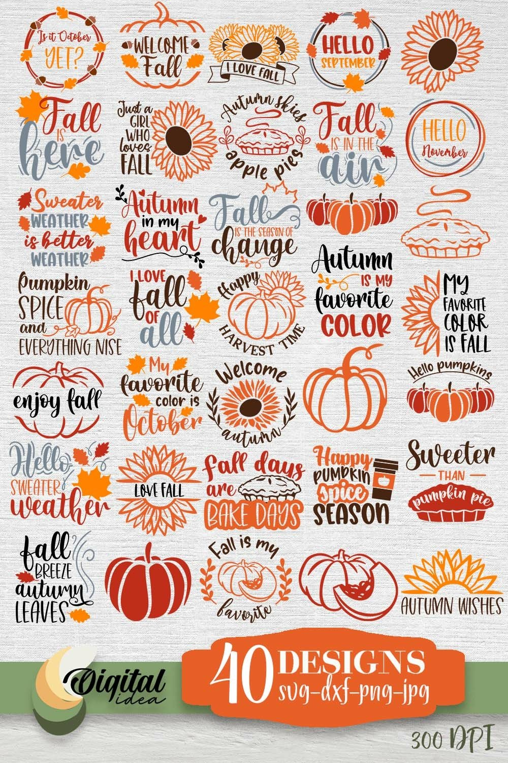 Fall Bundle svg. Fall pumpkin svg. Autumn designs (1996690)