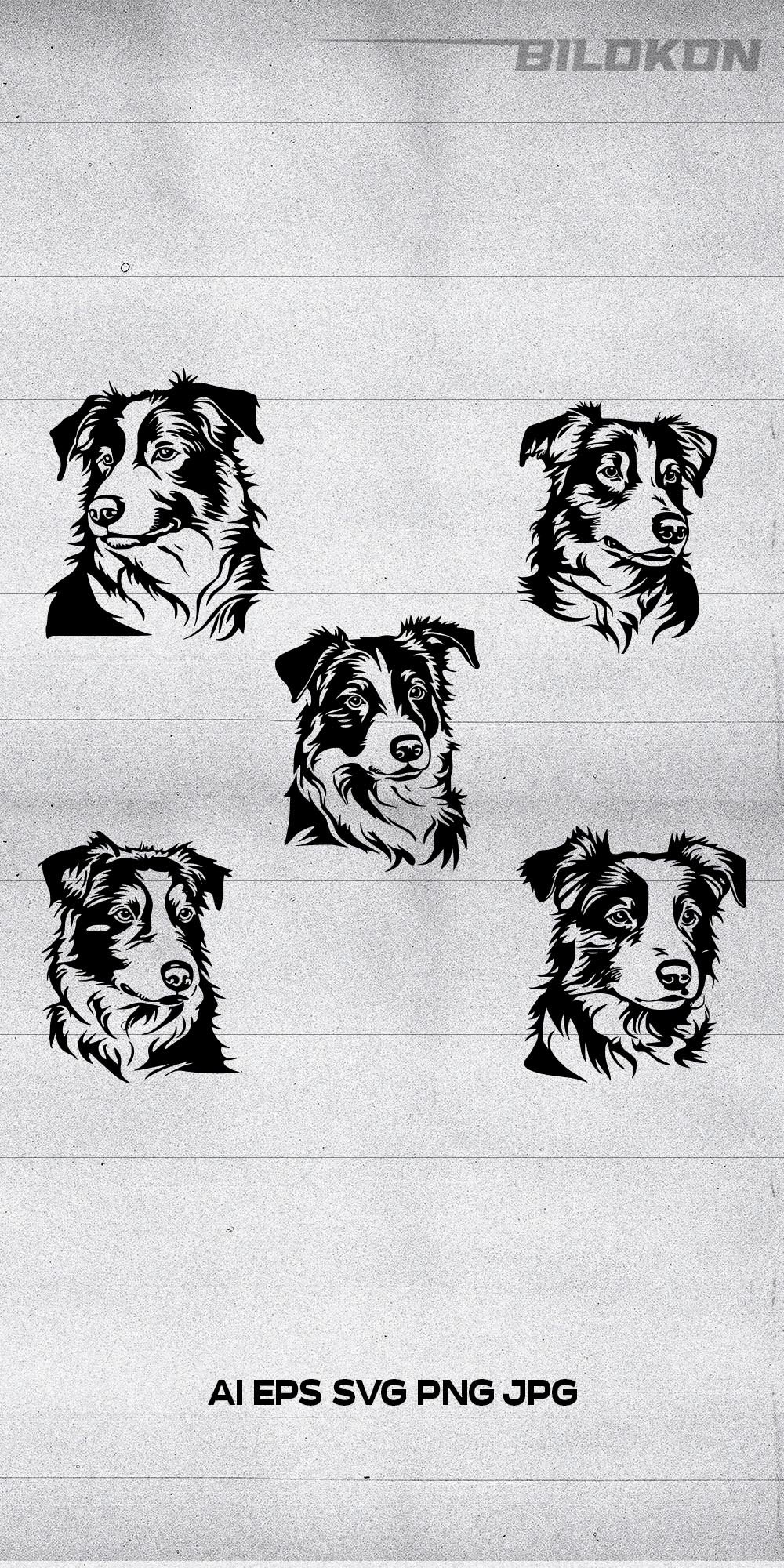 Border collie dog head, Vector, Illustration, SVG BUNDLE