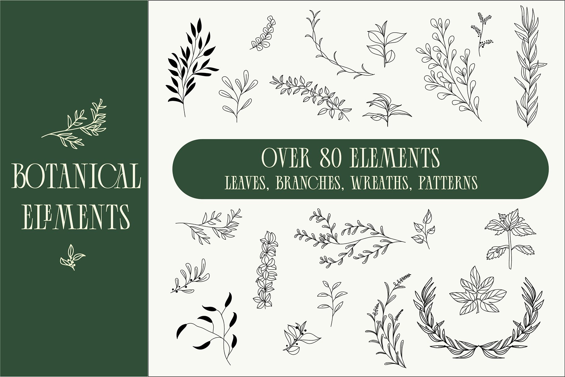 80 Botanical elements svg