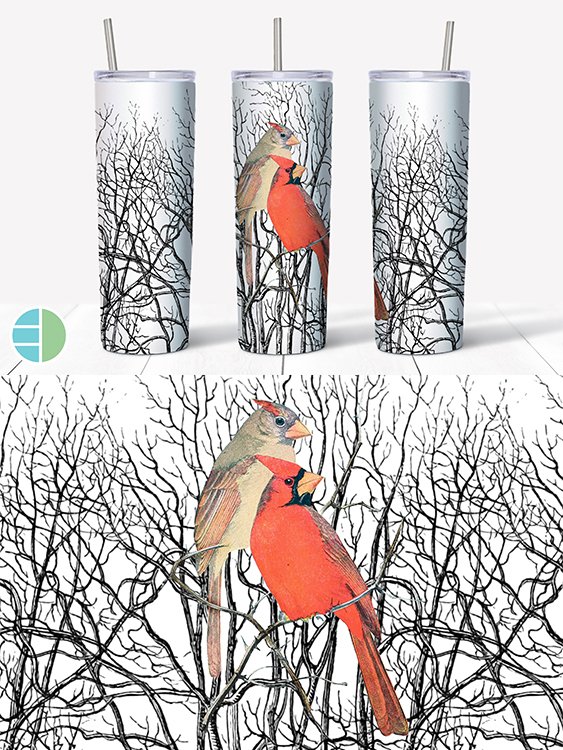 Cardinal Tumbler Sublimation Designs PNG
