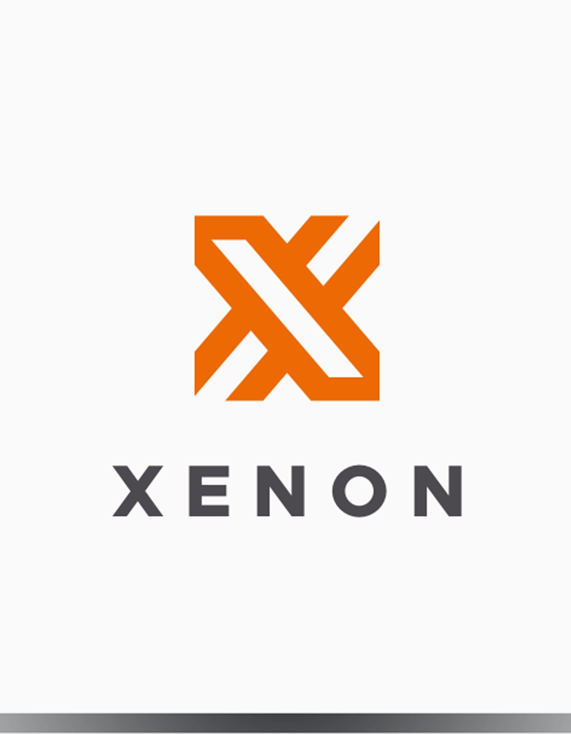 Xenon Letter X vector logo design template (3166413)
