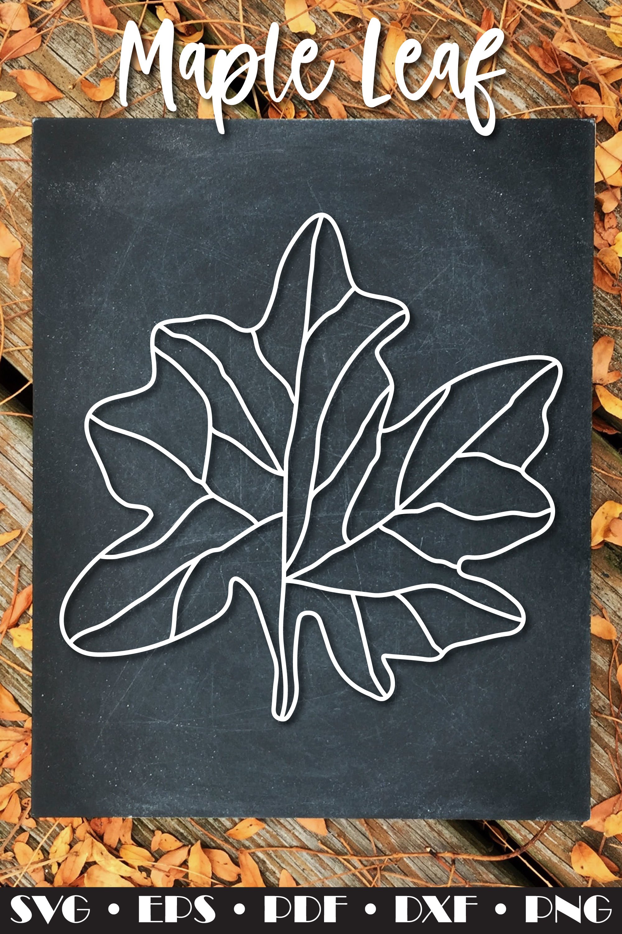 Maple Leaf, Maple leaf SVG