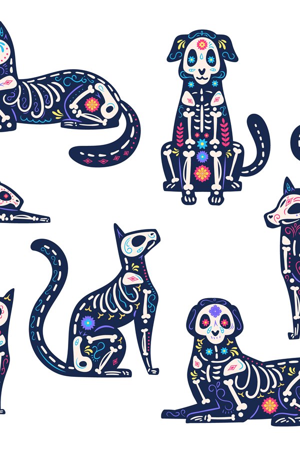 Day animals. Dia de los muertos, cats and dogs skulls, skele