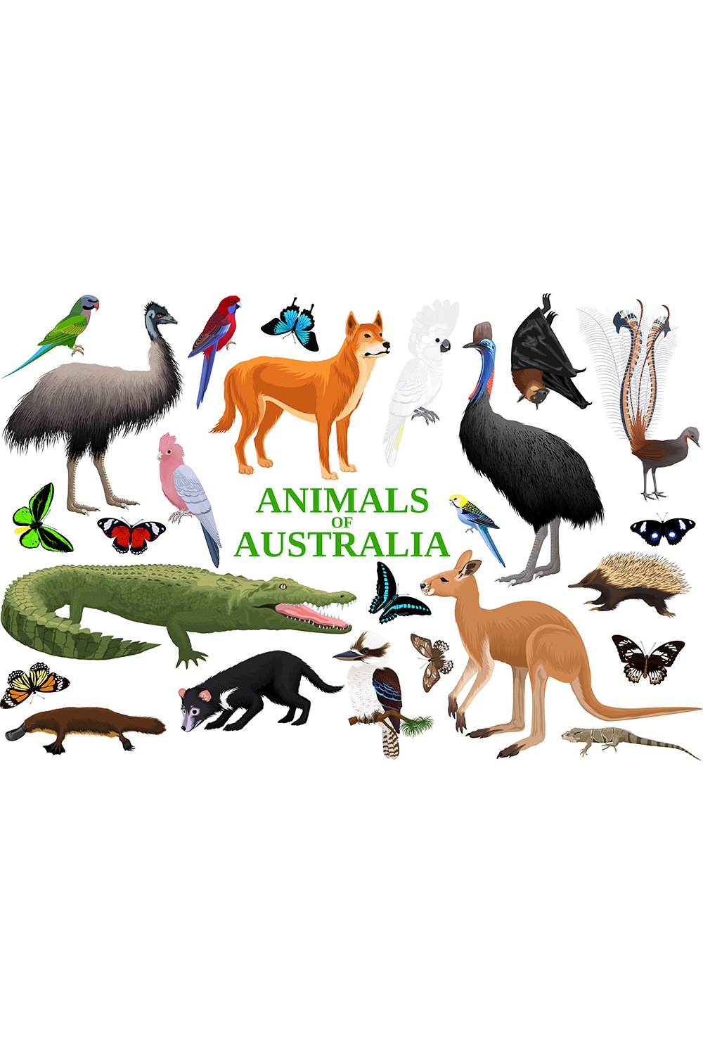 Big set of vector australian animals