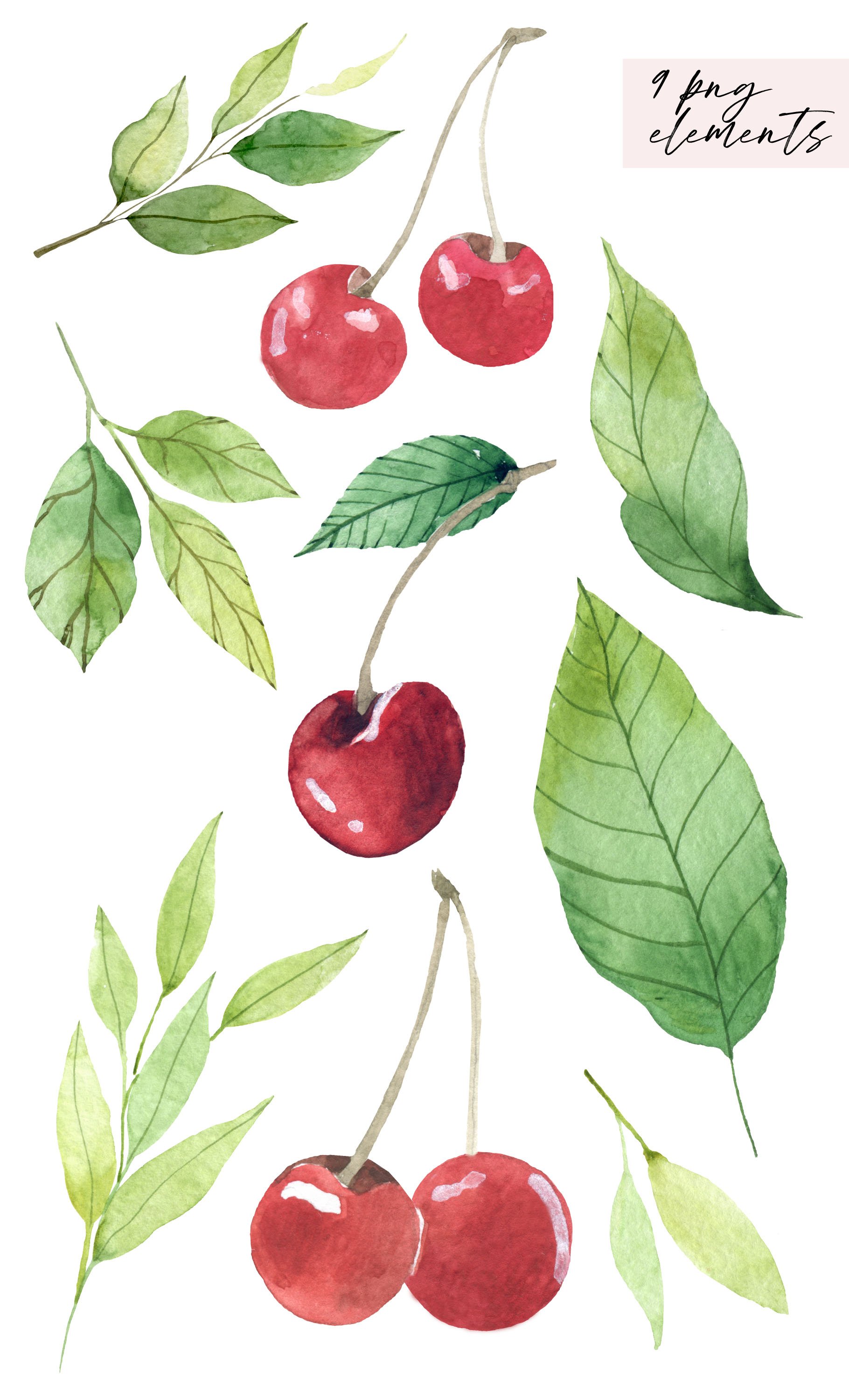 Food clipart Fruit clipart Watercolor fruits Cherry clipart