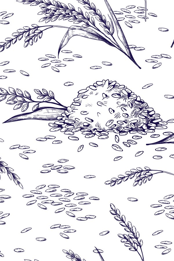 Rice seamless pattern. Hand drawn plant and grains texture,