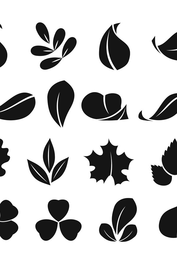 Black monochrome symbols of spring leaf. Vector shapes. Summ