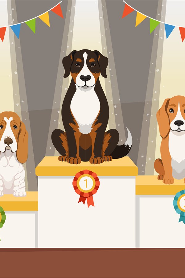 Best dog. Domestic pets exhibition podiums with prizes first