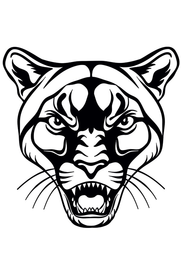 Mascot and Logo Angry Cougar Illustration
