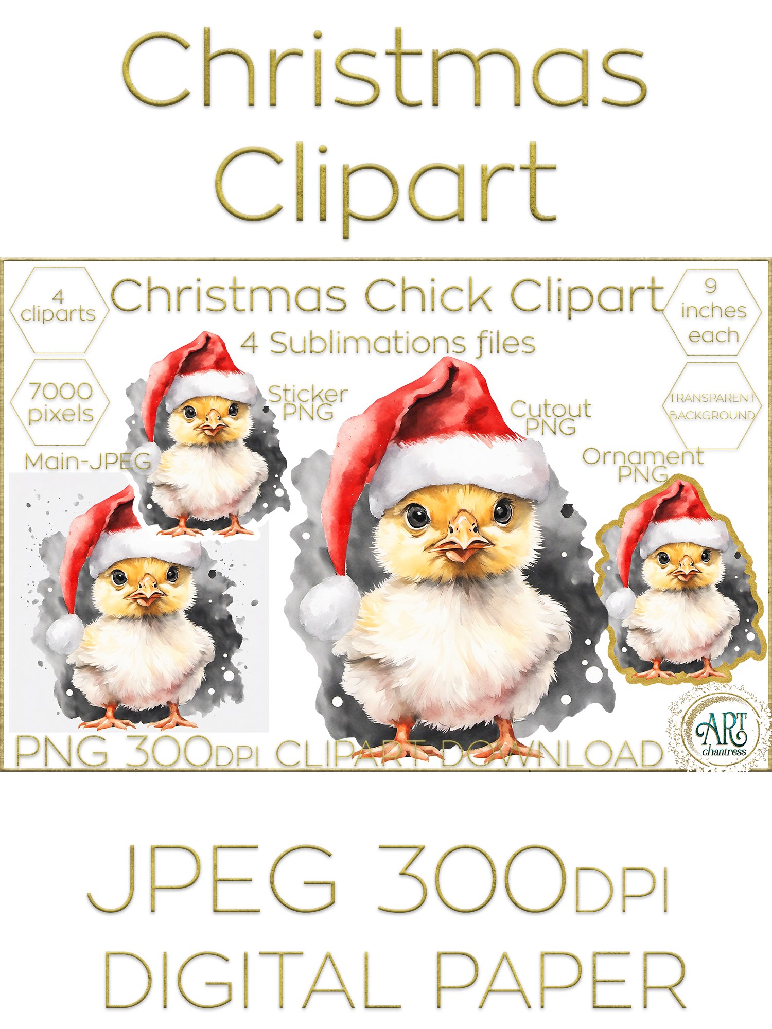 Sweet Christmas Chick Clipart Watercolor Xmas Illustration