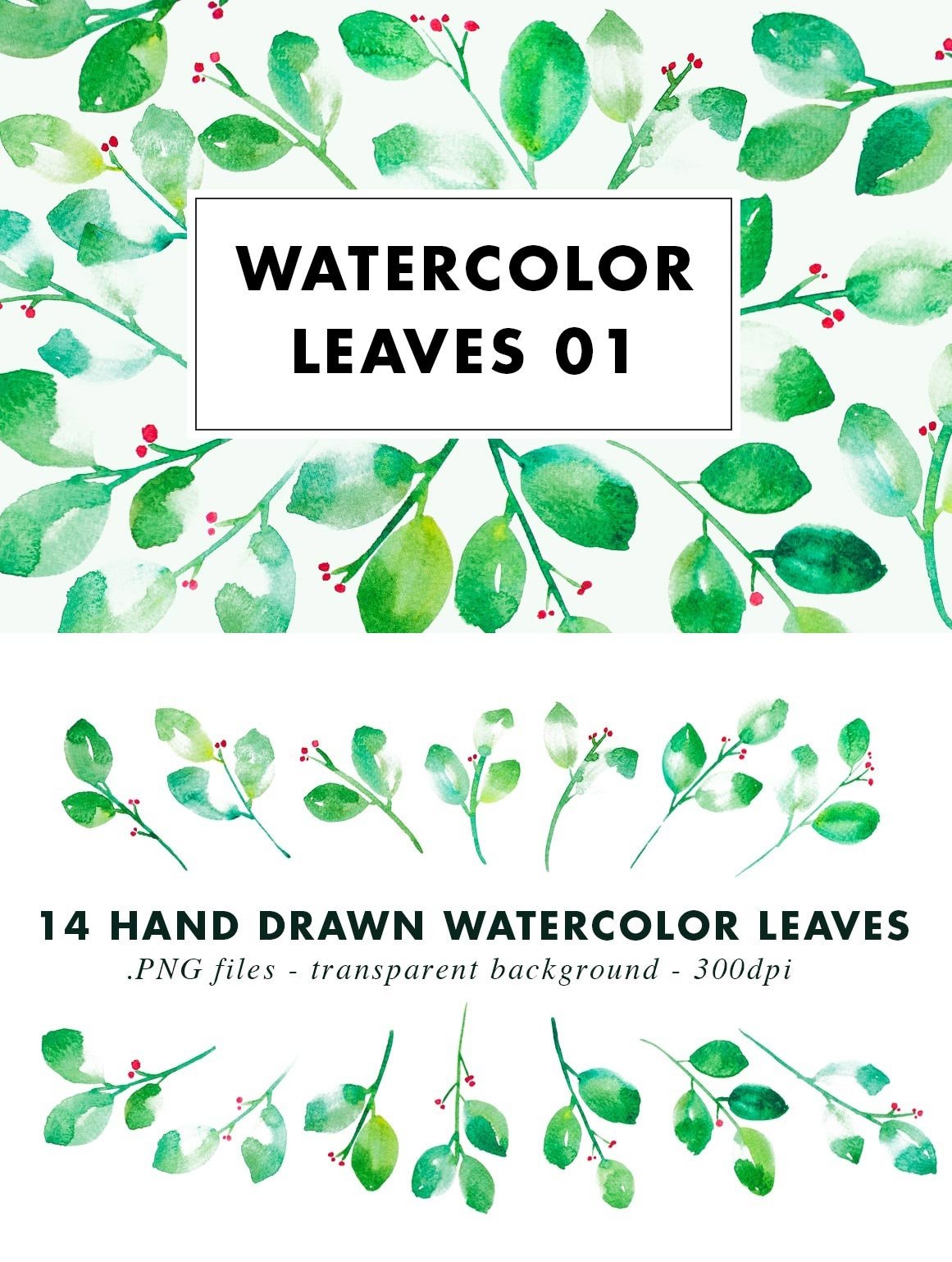 Watercolor Leaves Clip Art (684590)