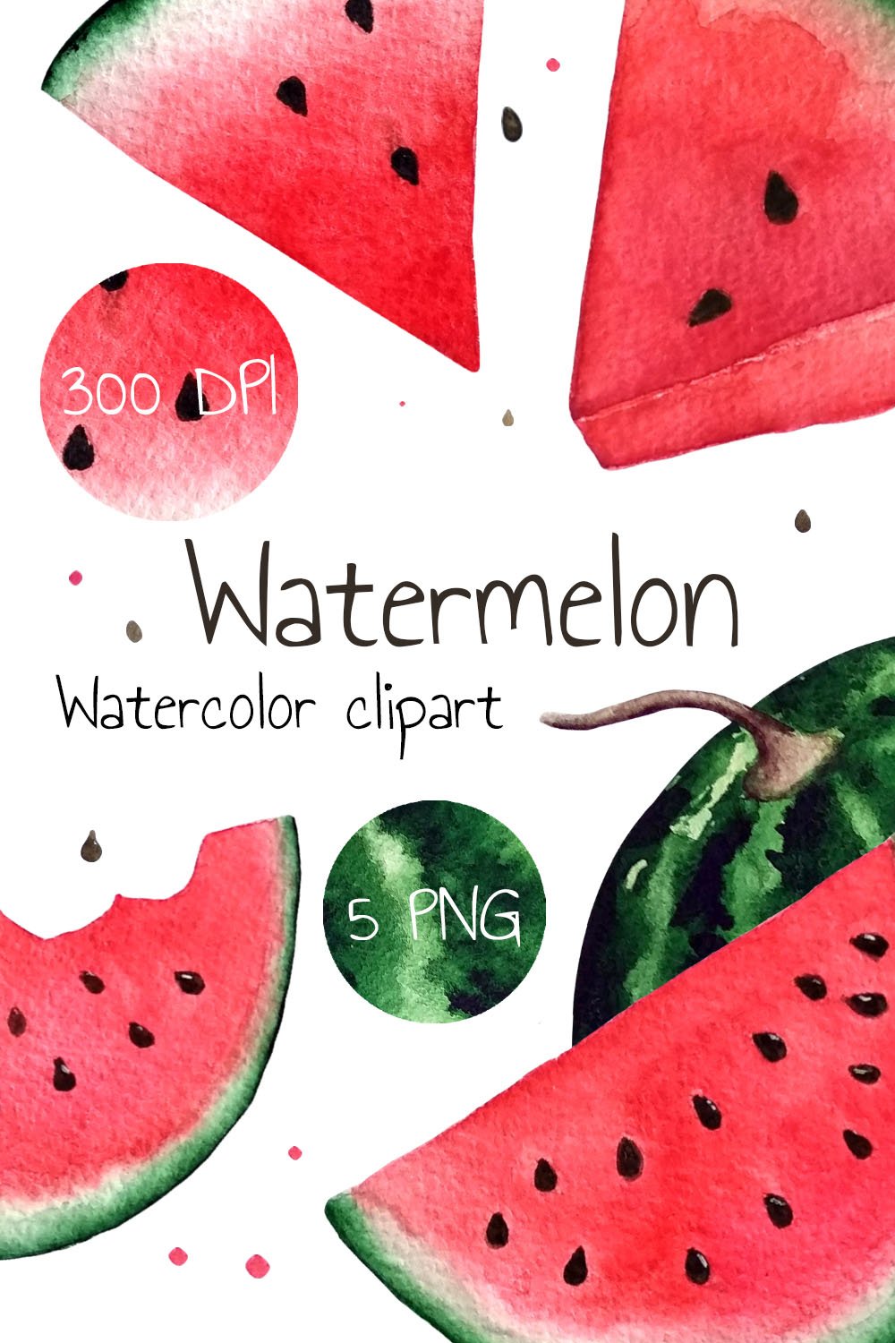 Watercolor watermelon clipart. PNG