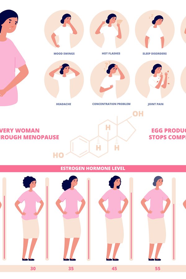 Estrogen hormone level. Hormones diagram, female natural bio