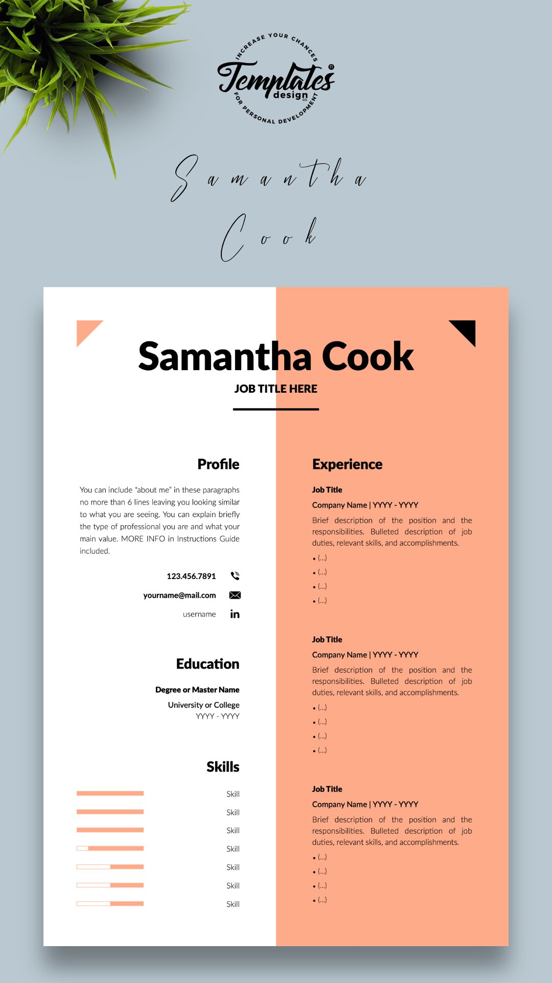Modern Resume CV Template for Word & Pages (738767)