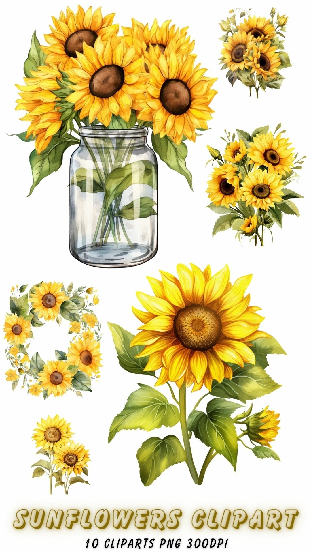 Sunflowers Watercolour clipart Bundle | Sunflowers PNG