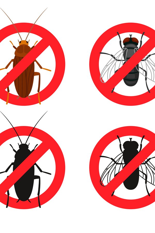 Insects warning signs