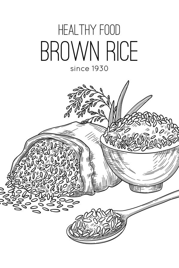 Rice hand drawn. Agricultural background with sacks grains w