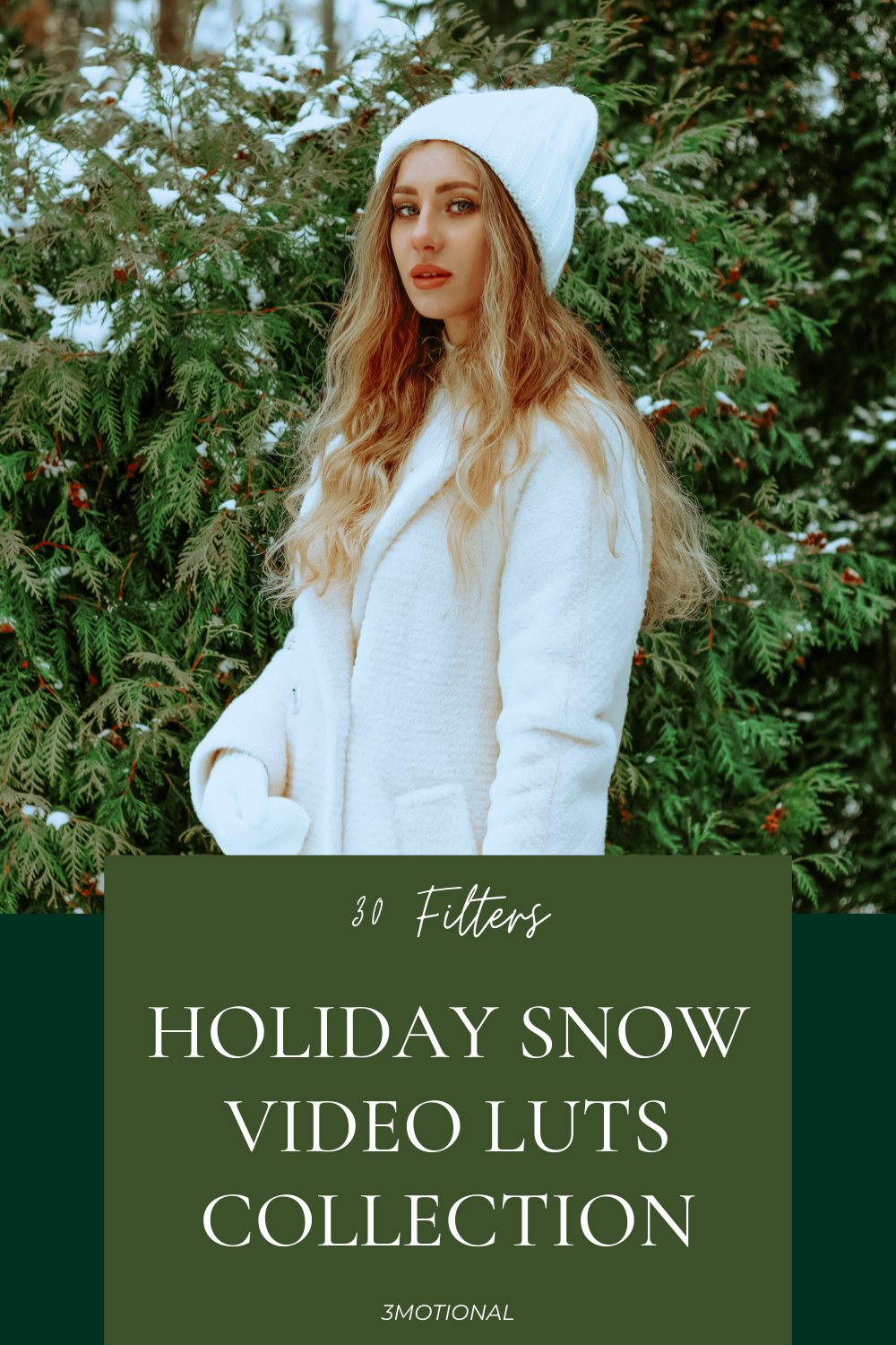 30 Holiday Snow LUT Collection