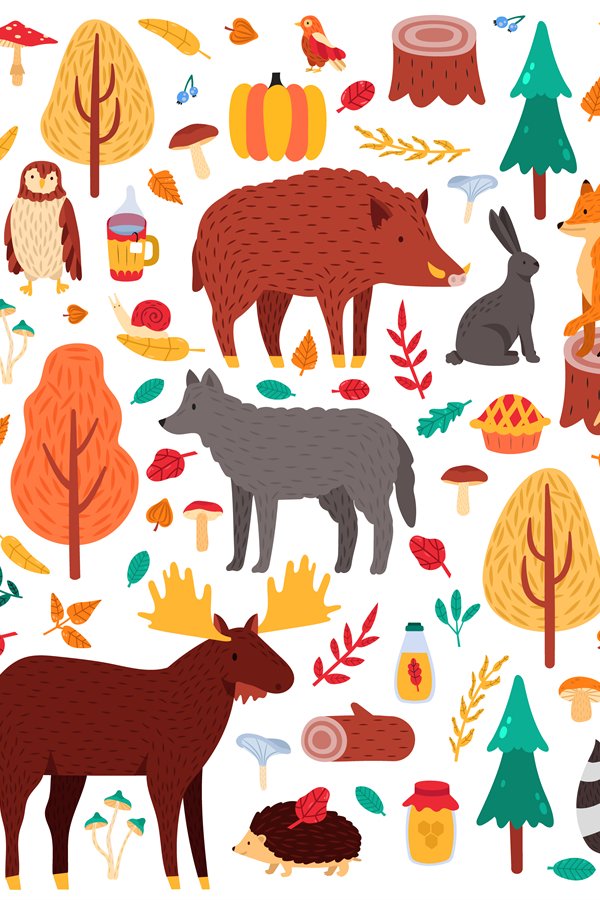 Cartoon autumn animals. Cute woodland birds and animals