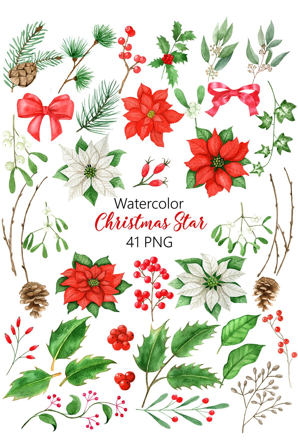 Watercolor Christmas Clipart Christmas Flowers (1649015)