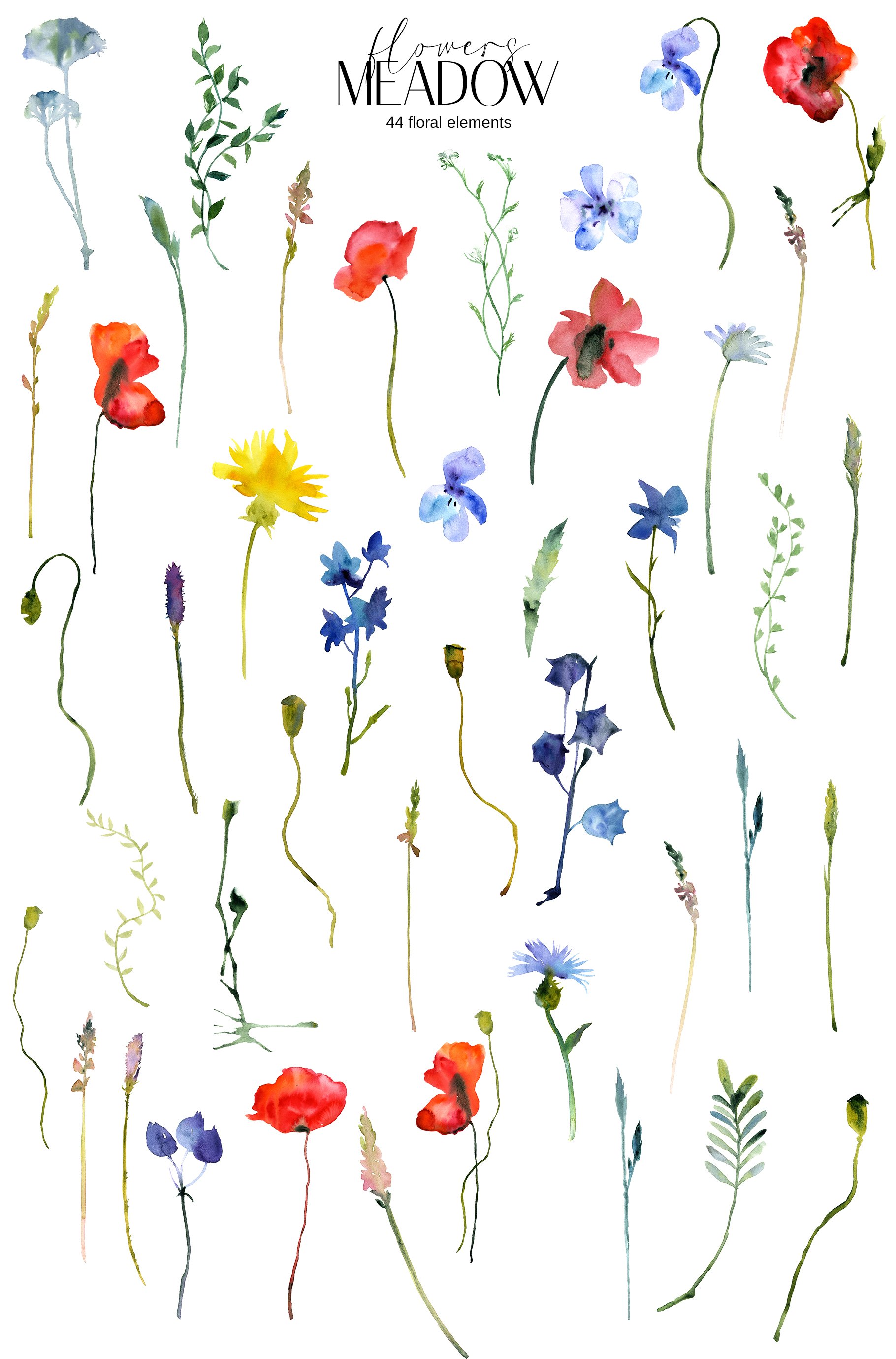 Watercolor Meadow Flowers Clipart