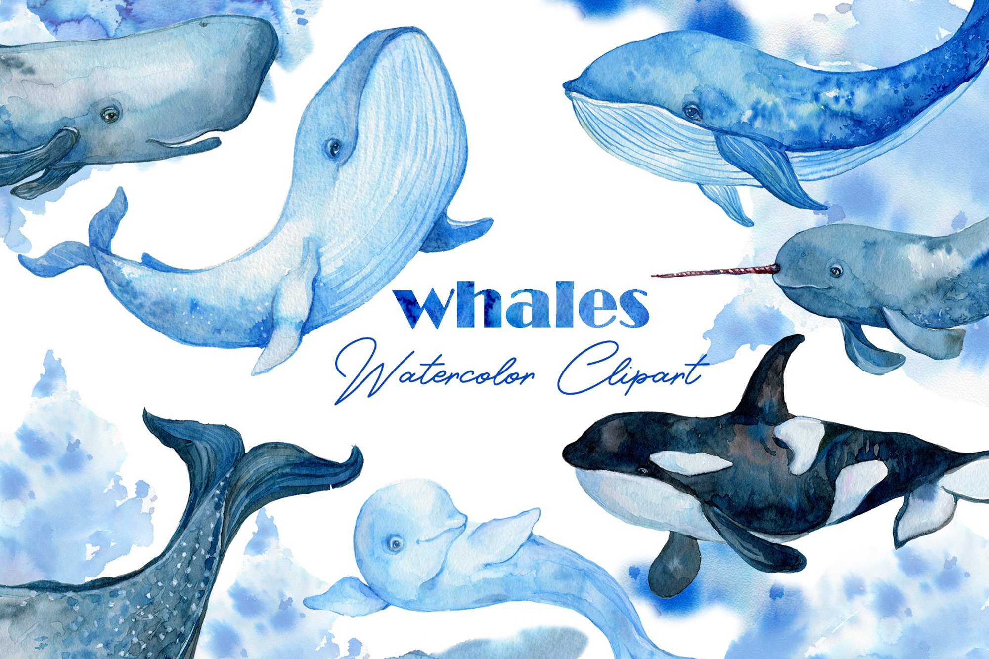 Whales Watercolor Clip Art, Ocean Clip Art, Hand Painting