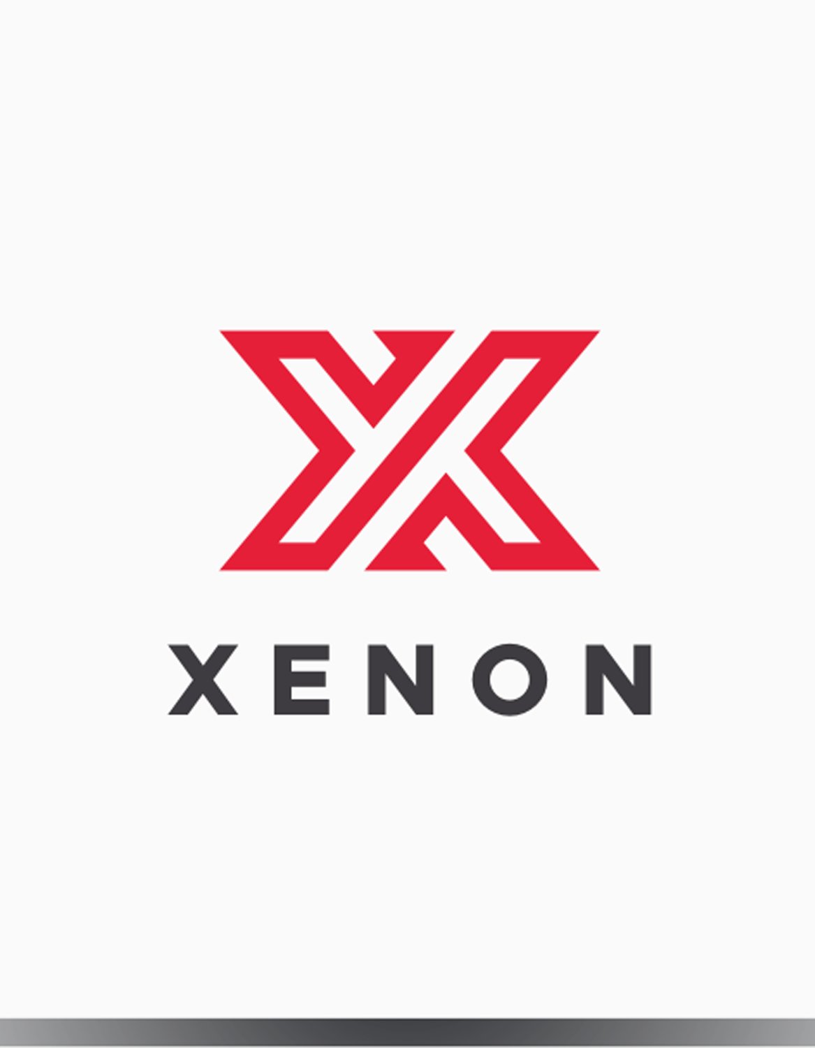 Xenon Letter X vector logo design template (3166387)