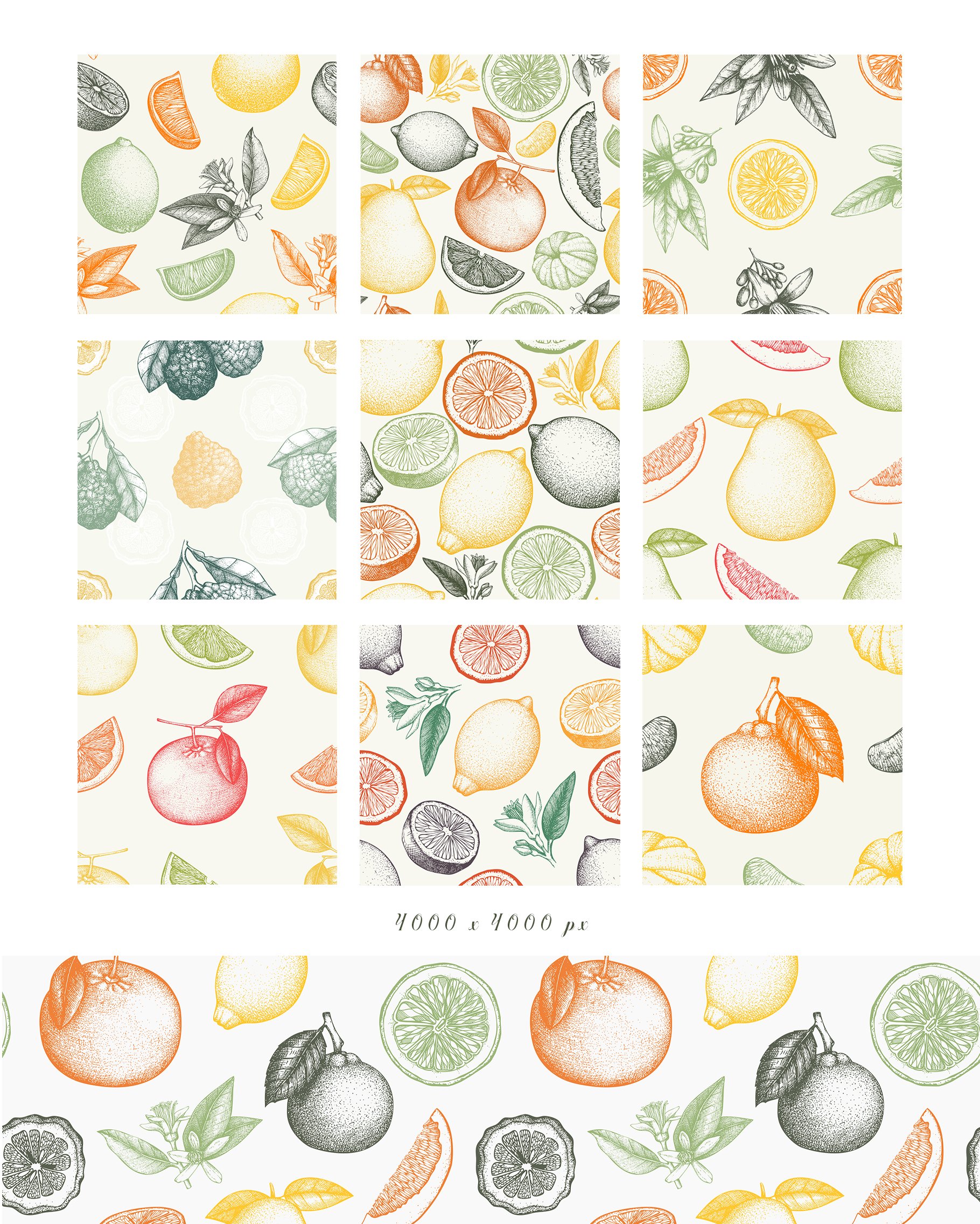 Citrus Fruits Patterns Collection