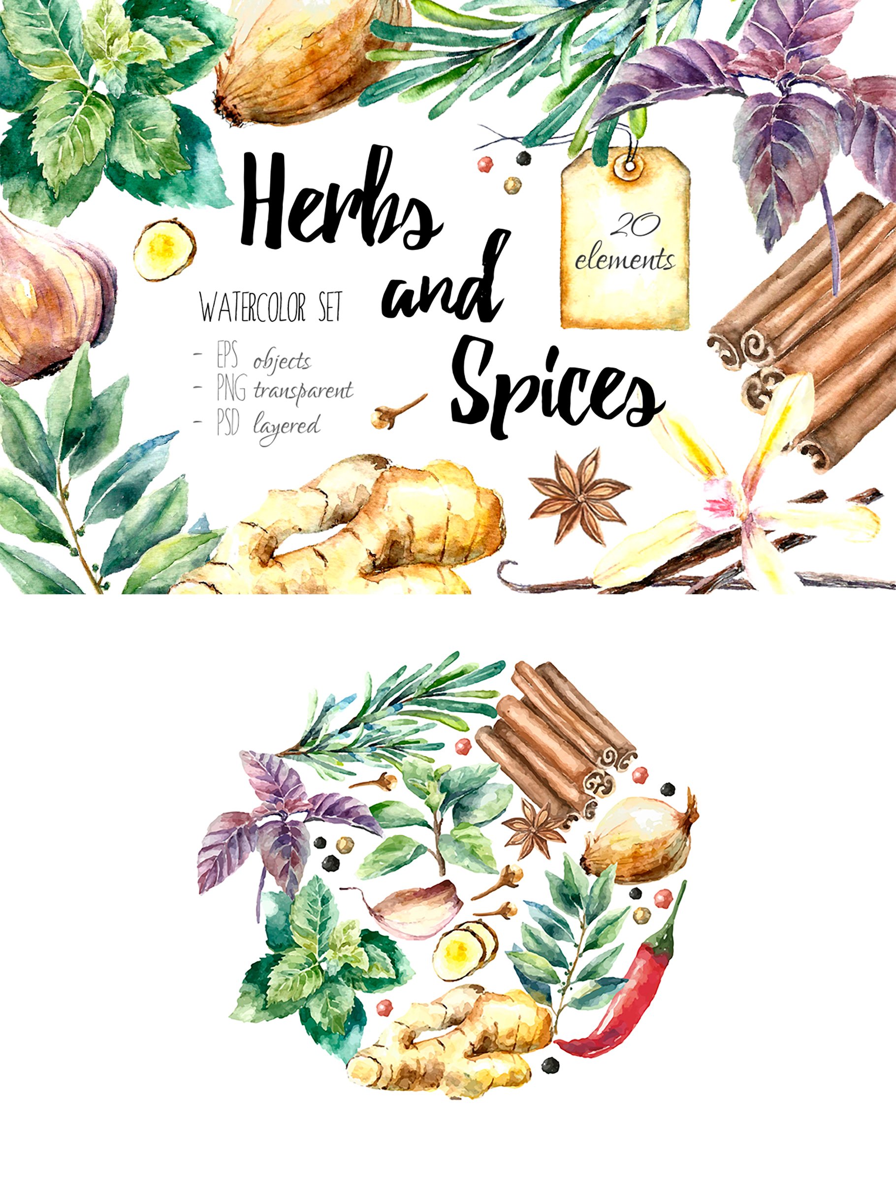Watercolor clipart herbs and spices