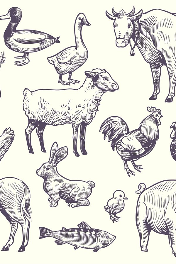 Hand drawn farm animals and birds. Goat, duck and horse, she