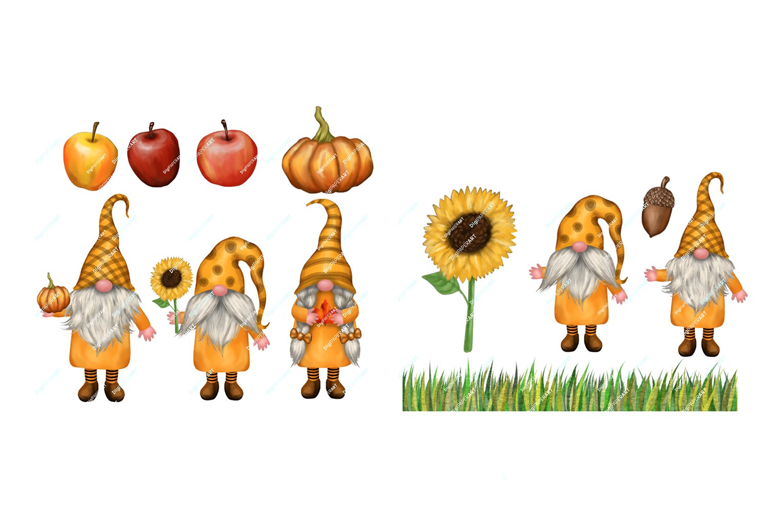 Fall Gnomes Clipart, Thanksgiving PNG, Autumn Gnome