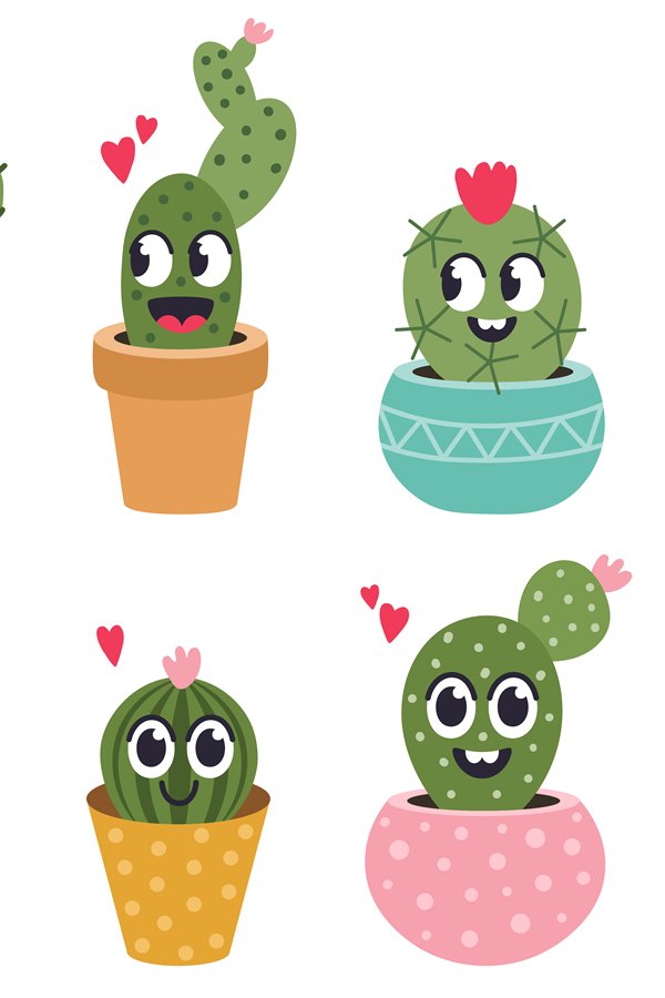 Cute cactus faces. Funny succulent cacti face, tropical